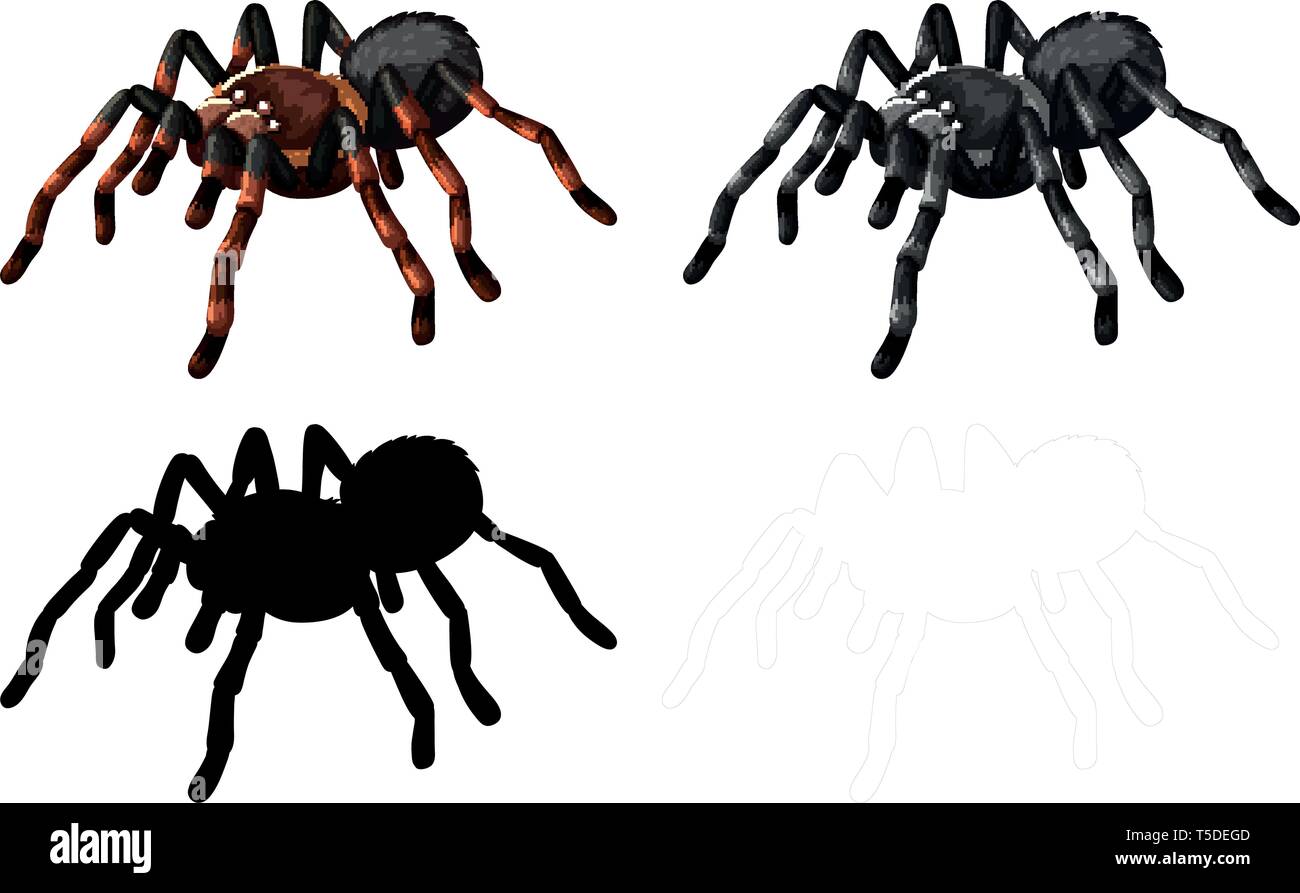 Set of spider character illustration Stock Vector Image & Art - Alamy