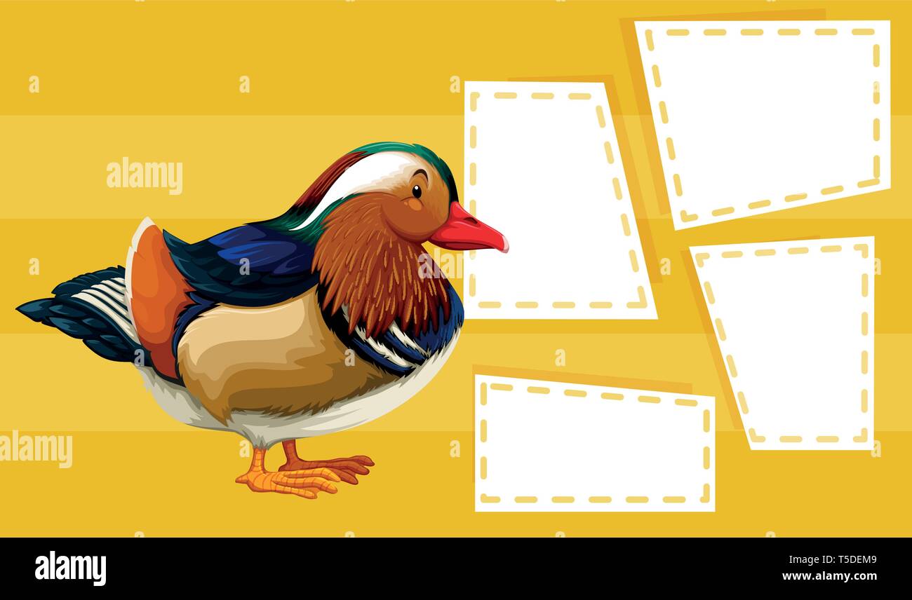 Note duck hi-res stock photography and images - Alamy