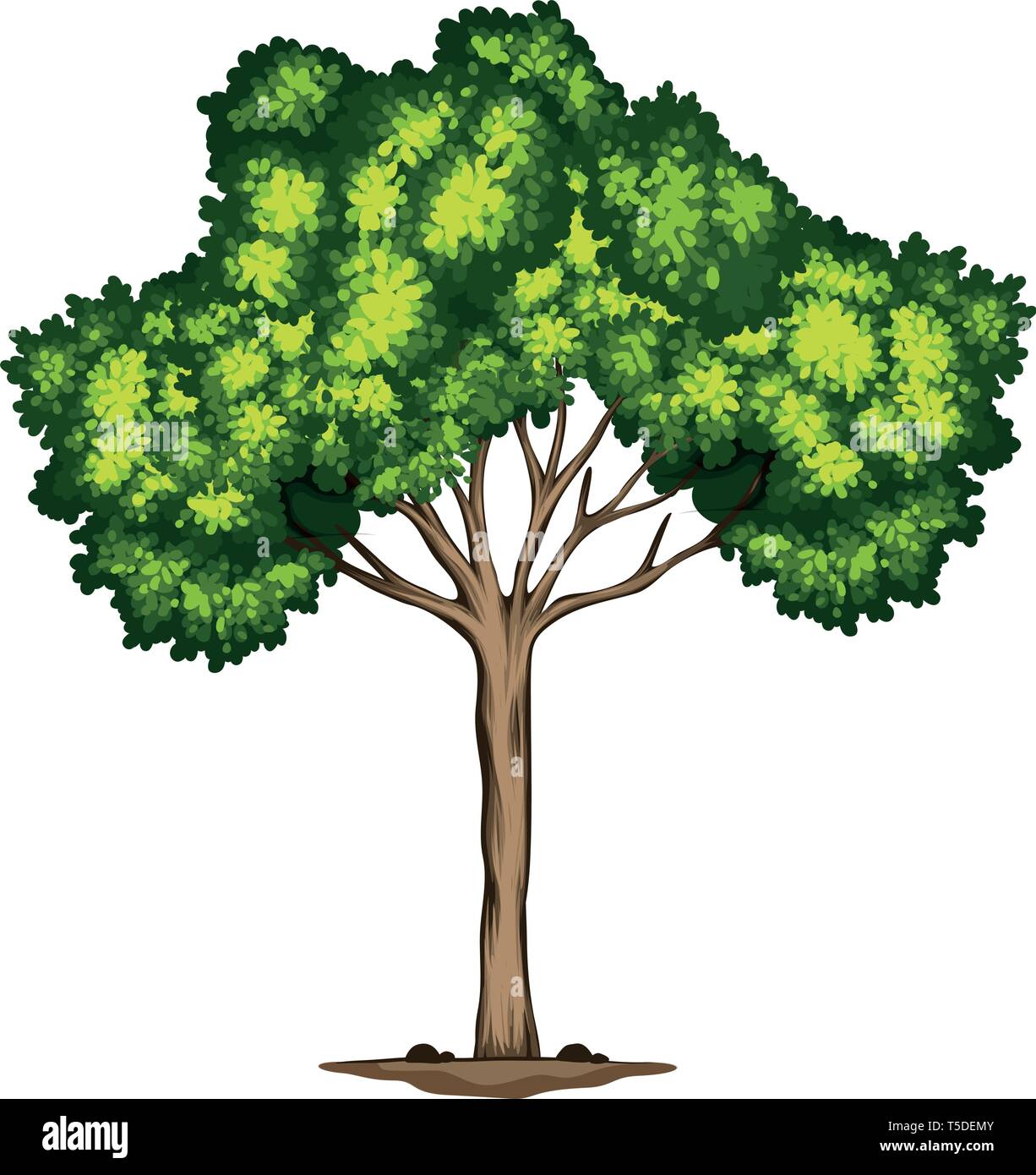 A tree design on white background illustration Stock Vector Image & Art ...