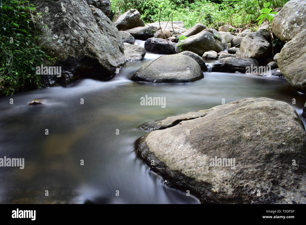 Kurangani hills trekking hi-res stock photography and images - Alamy