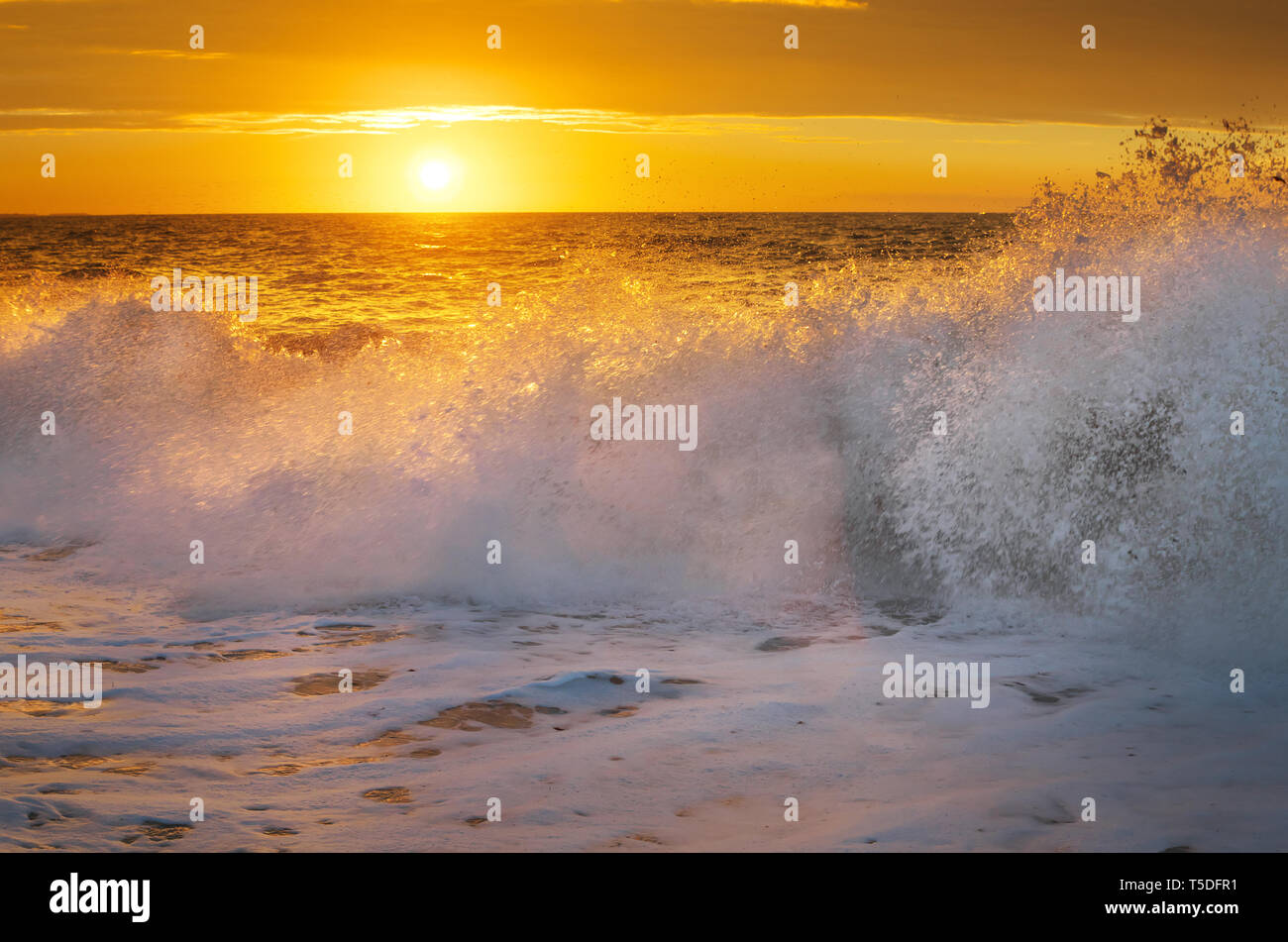 Powerful ocean wave splashes hi-res stock photography and images - Alamy