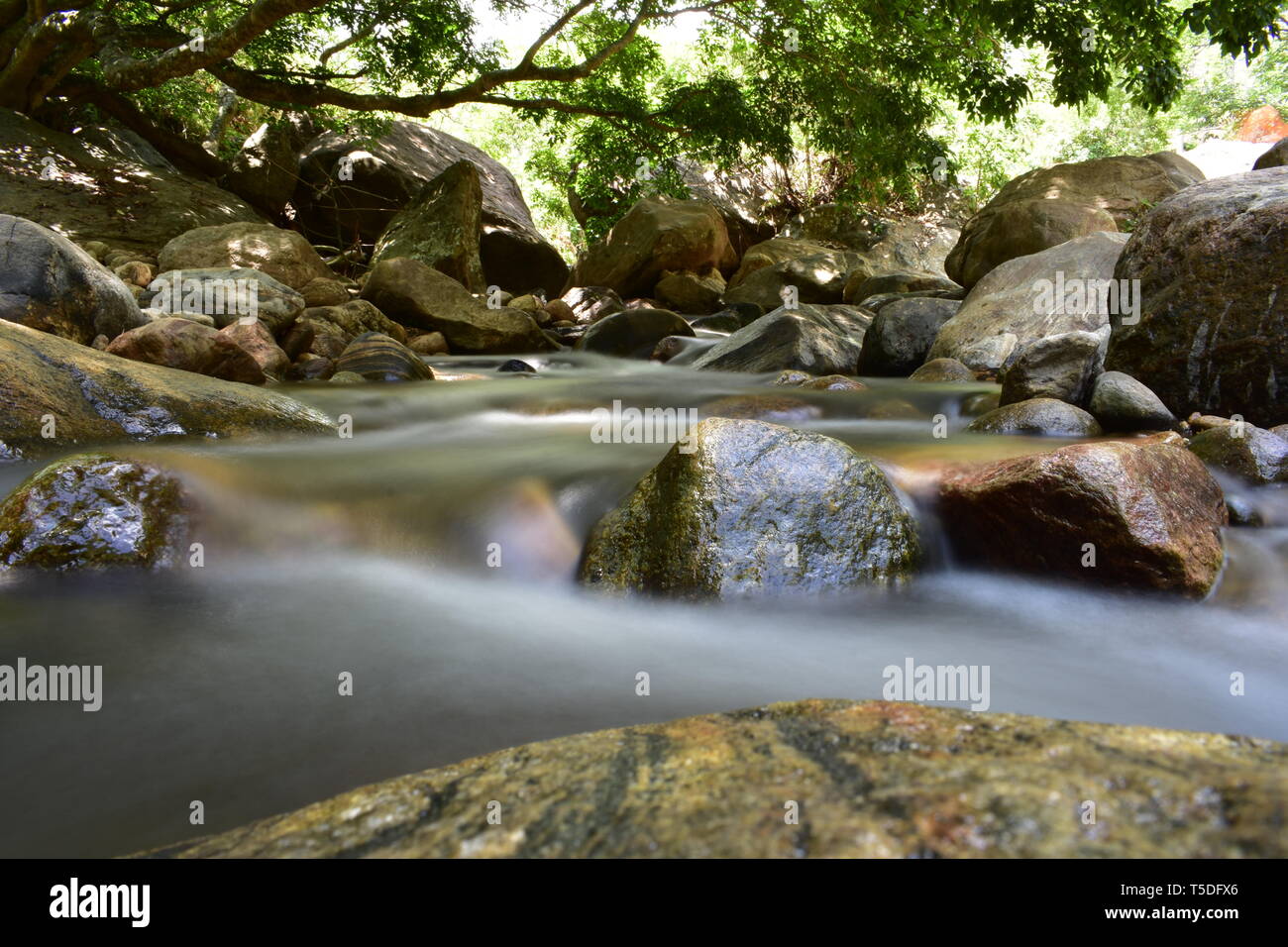 Kurangani River In Tamil Nadu Stock Photo - Alamy