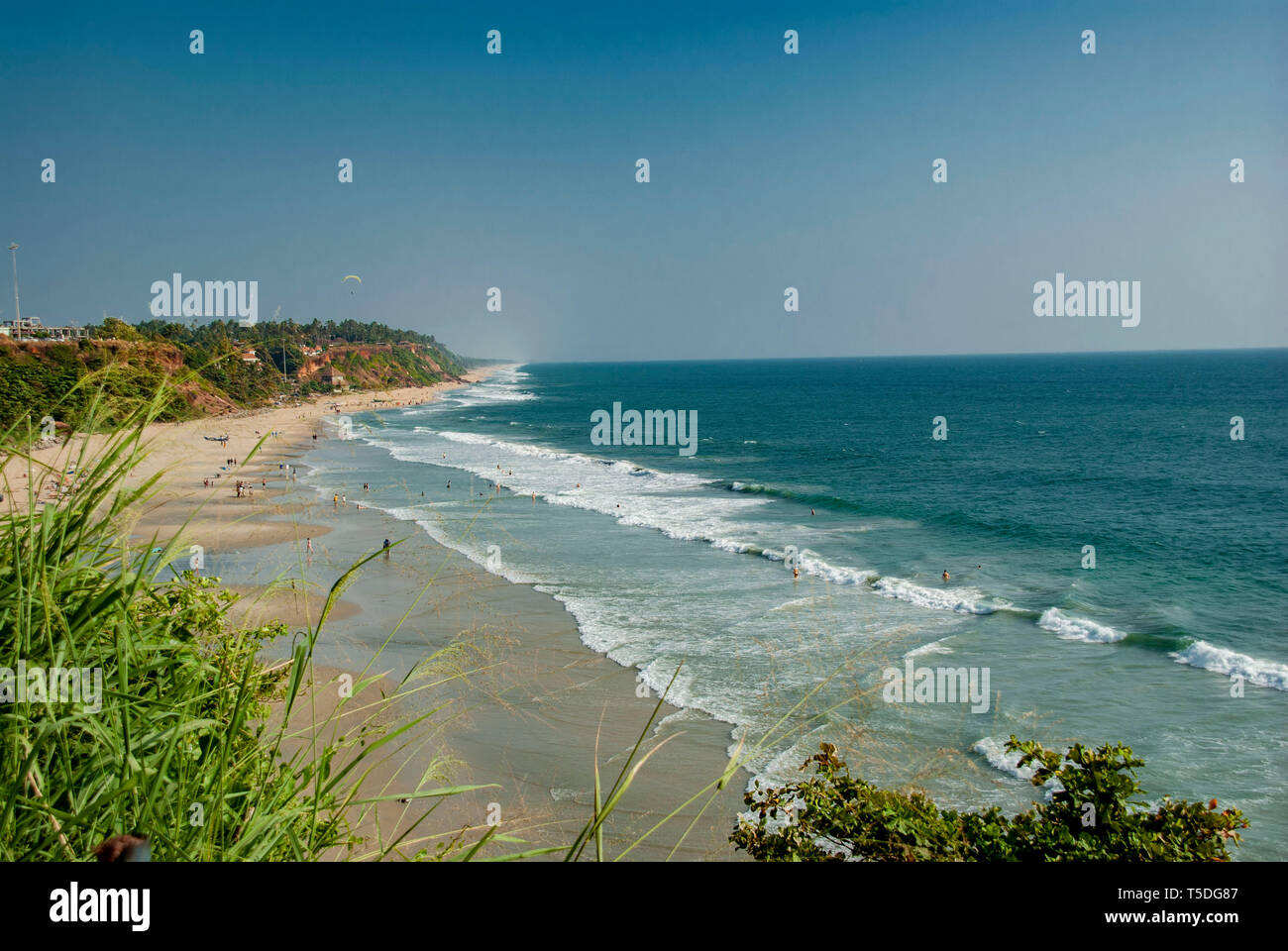 Beach with palm trees in Varkala in India Stock Photo - Alamy