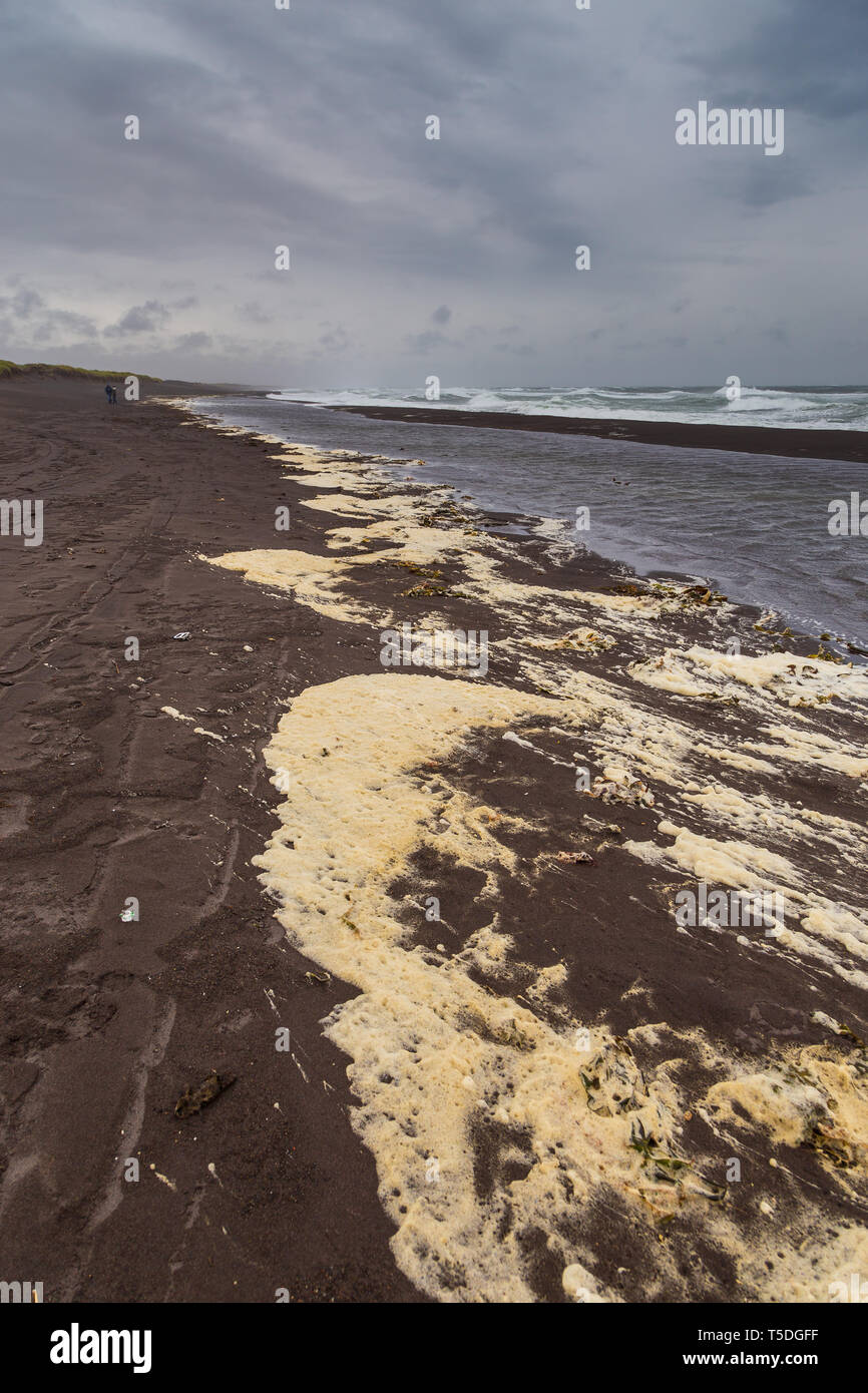 View of the waved waves of the Avachinskaya Bay , Avacha Bay and ...