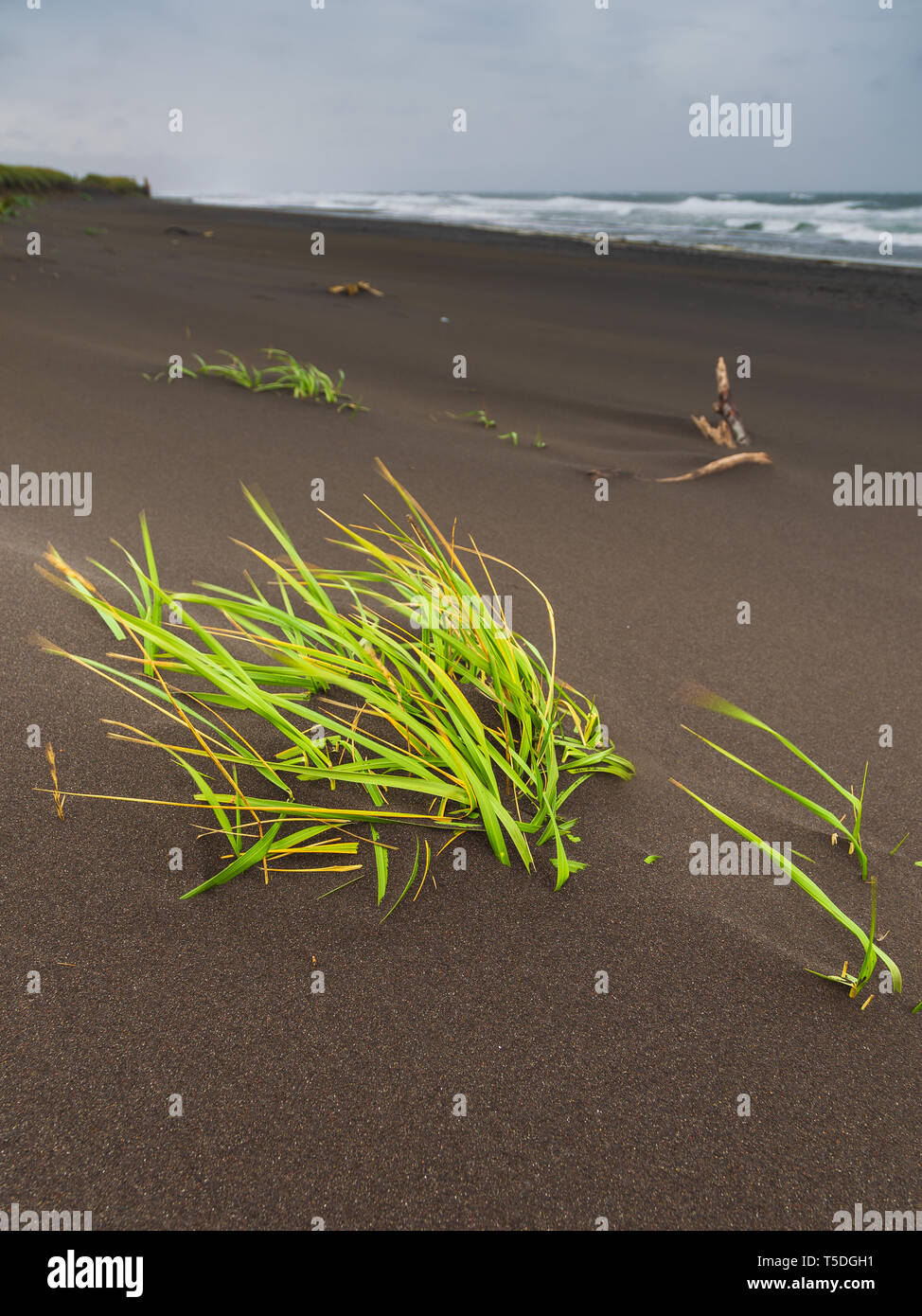 View of the waved waves of the Avachinskaya Bay , Avacha Bay and ...