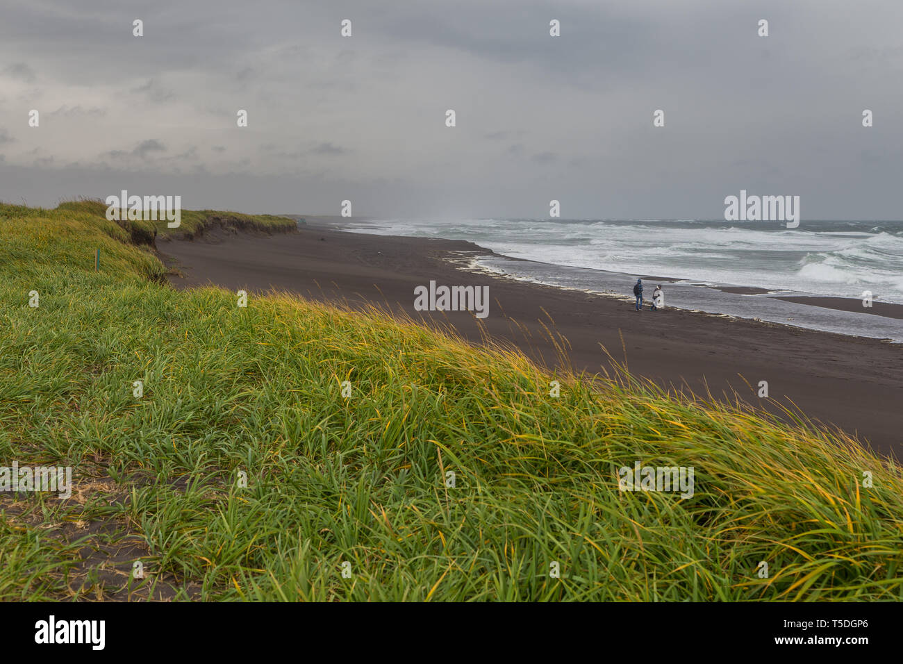 View of the waved waves of the Avachinskaya Bay , Avacha Bay and ...