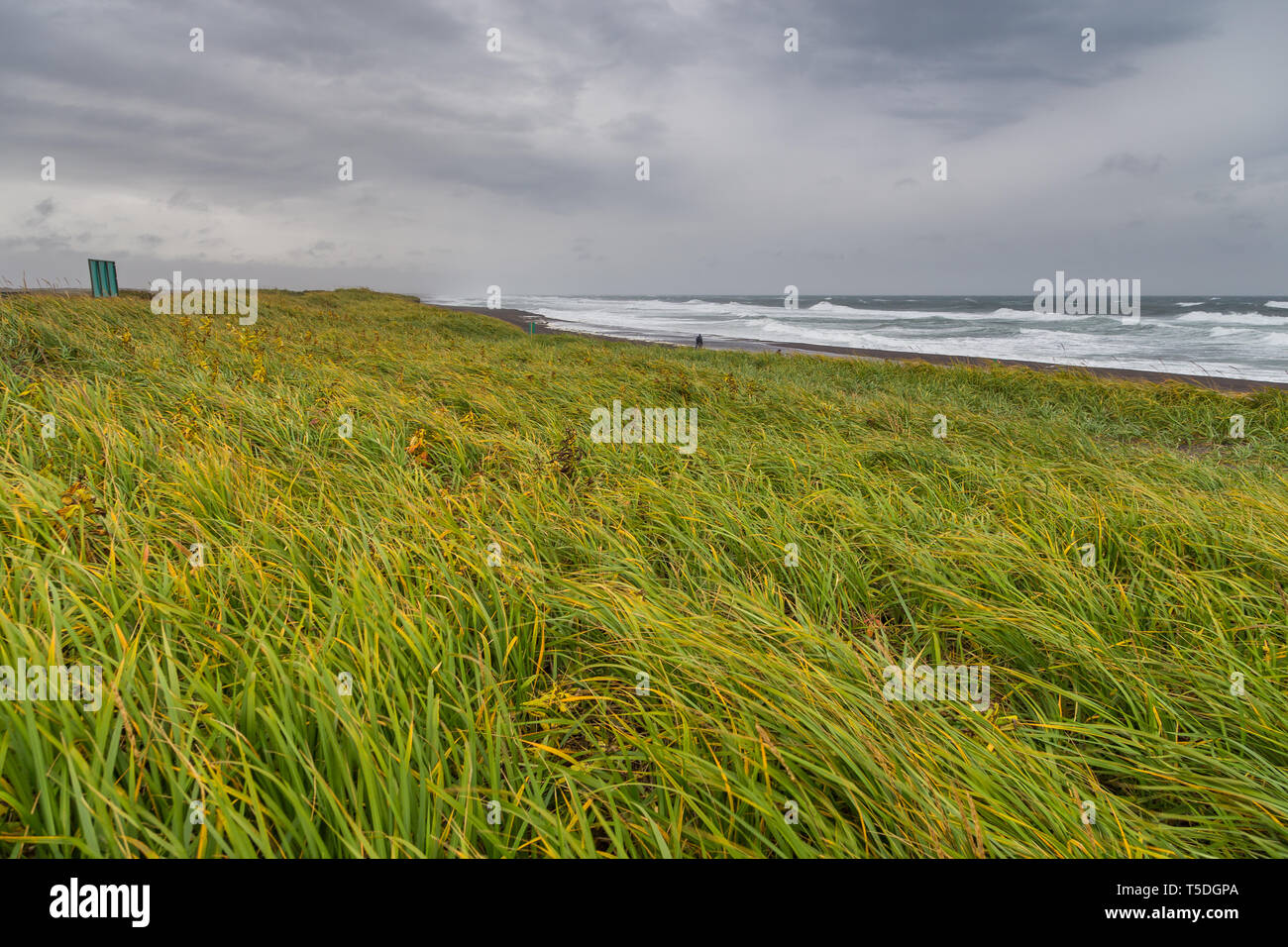 View of the waved waves of the Avachinskaya Bay , Avacha Bay and ...