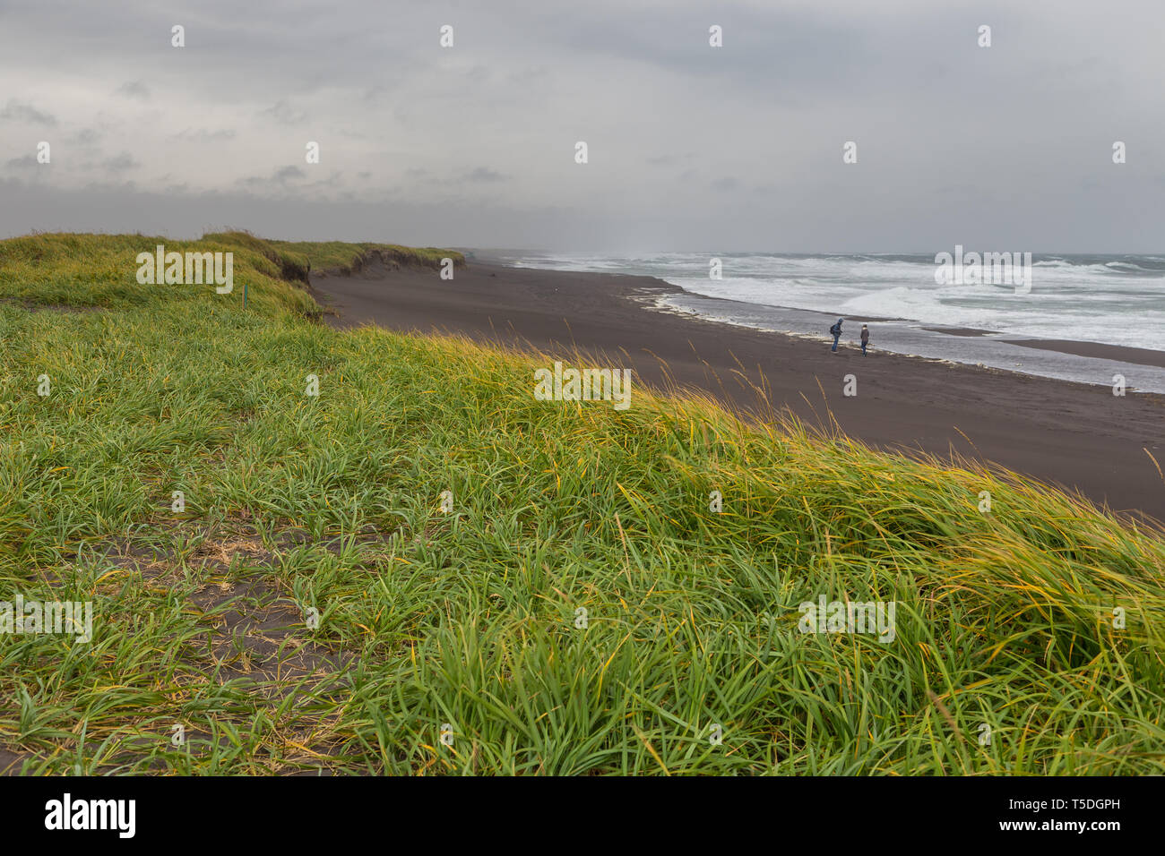 View of the waved waves of the Avachinskaya Bay , Avacha Bay and ...