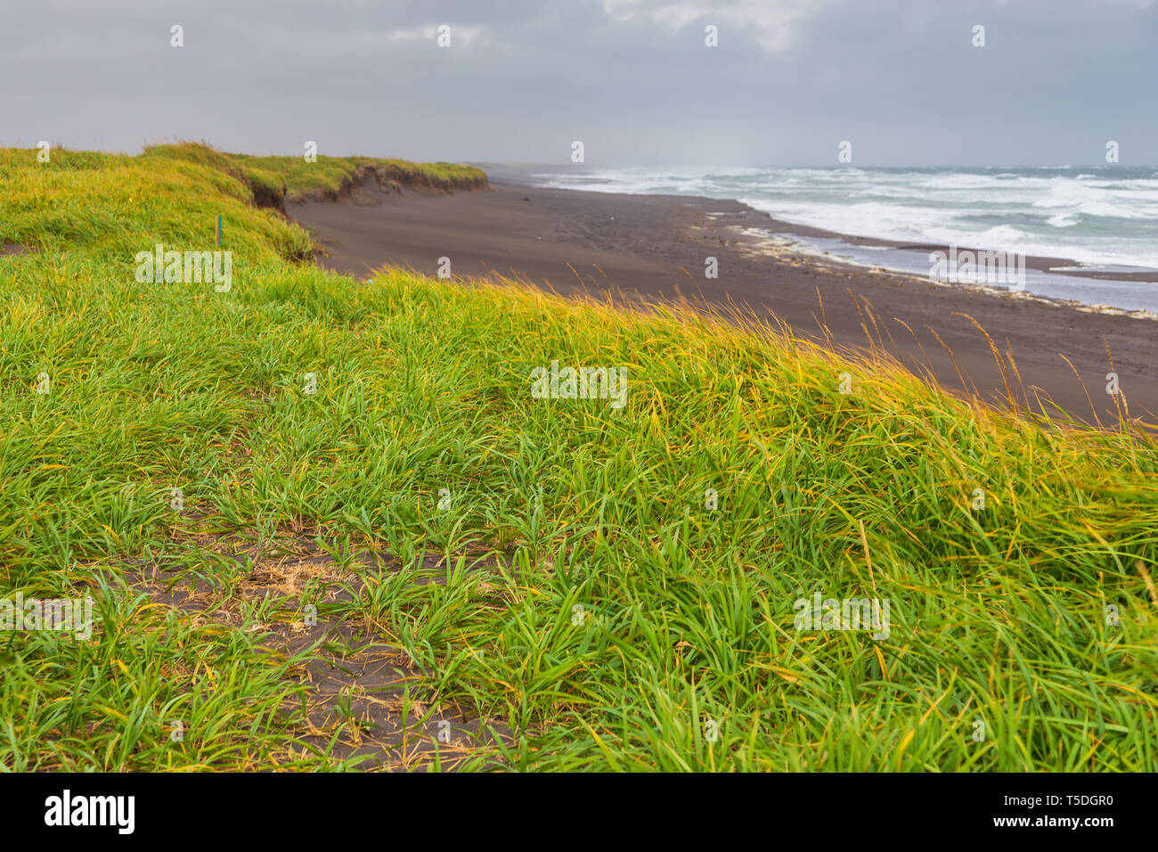 View of the waved waves of the Avachinskaya Bay , Avacha Bay and ...