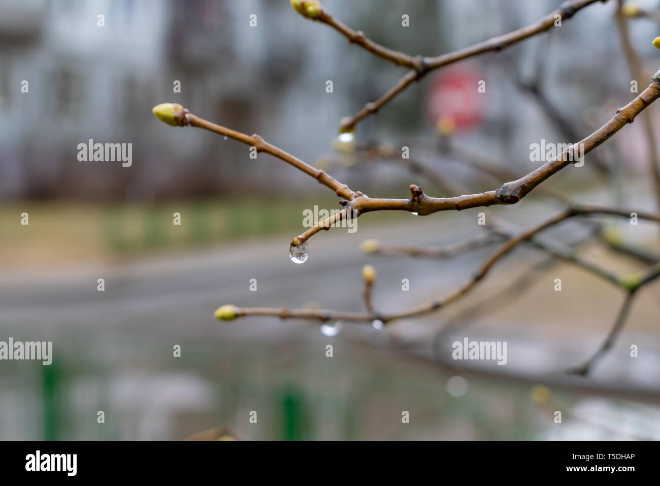 Dialysis logo hi-res stock photography and images - Alamy