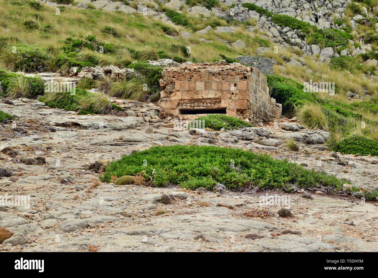 Old fortified fortification of the bunker on the hill to protect the ...