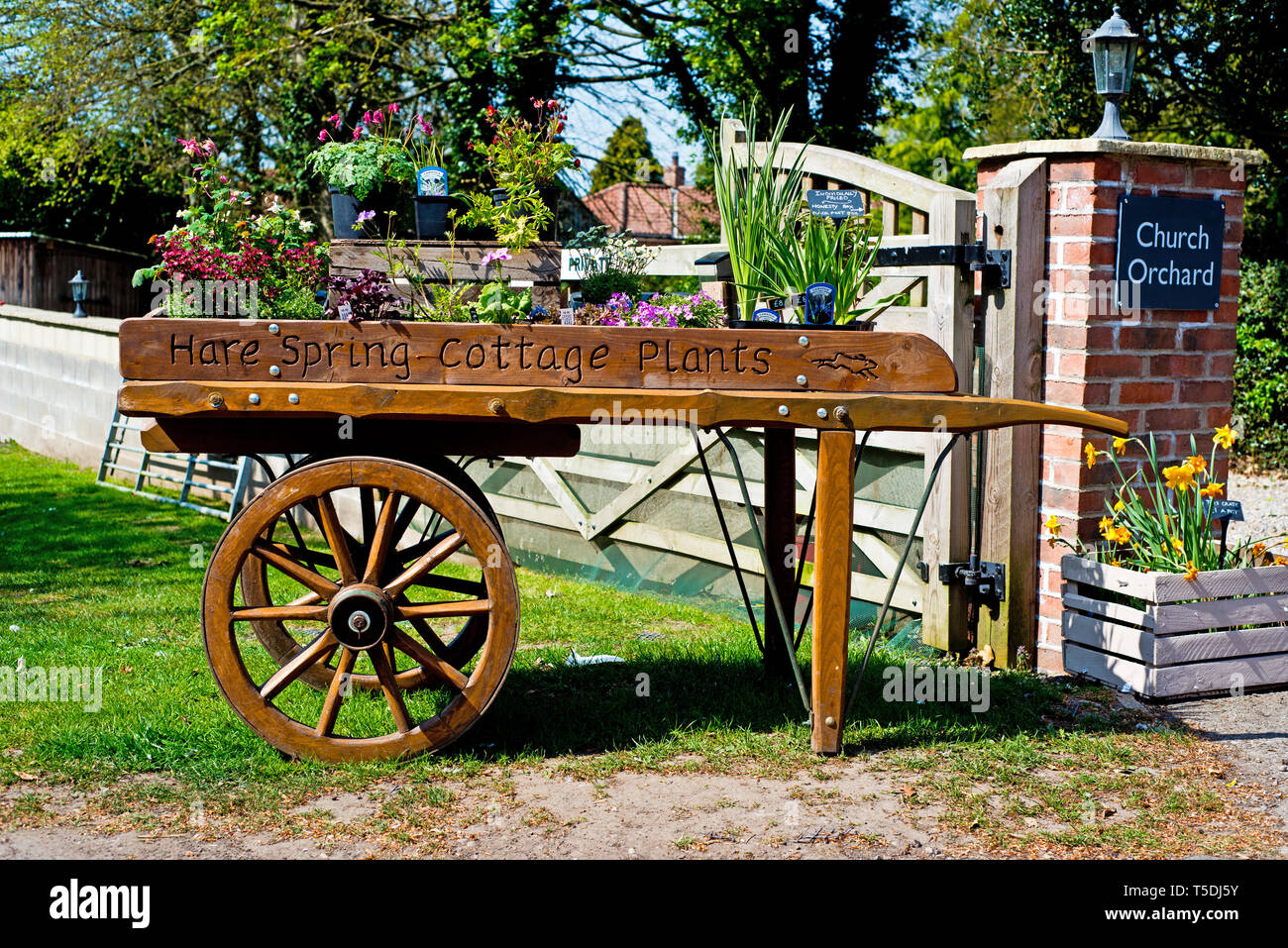 Plants Barrow, Alne, North Yorkshire, England Stock Photo - Alamy