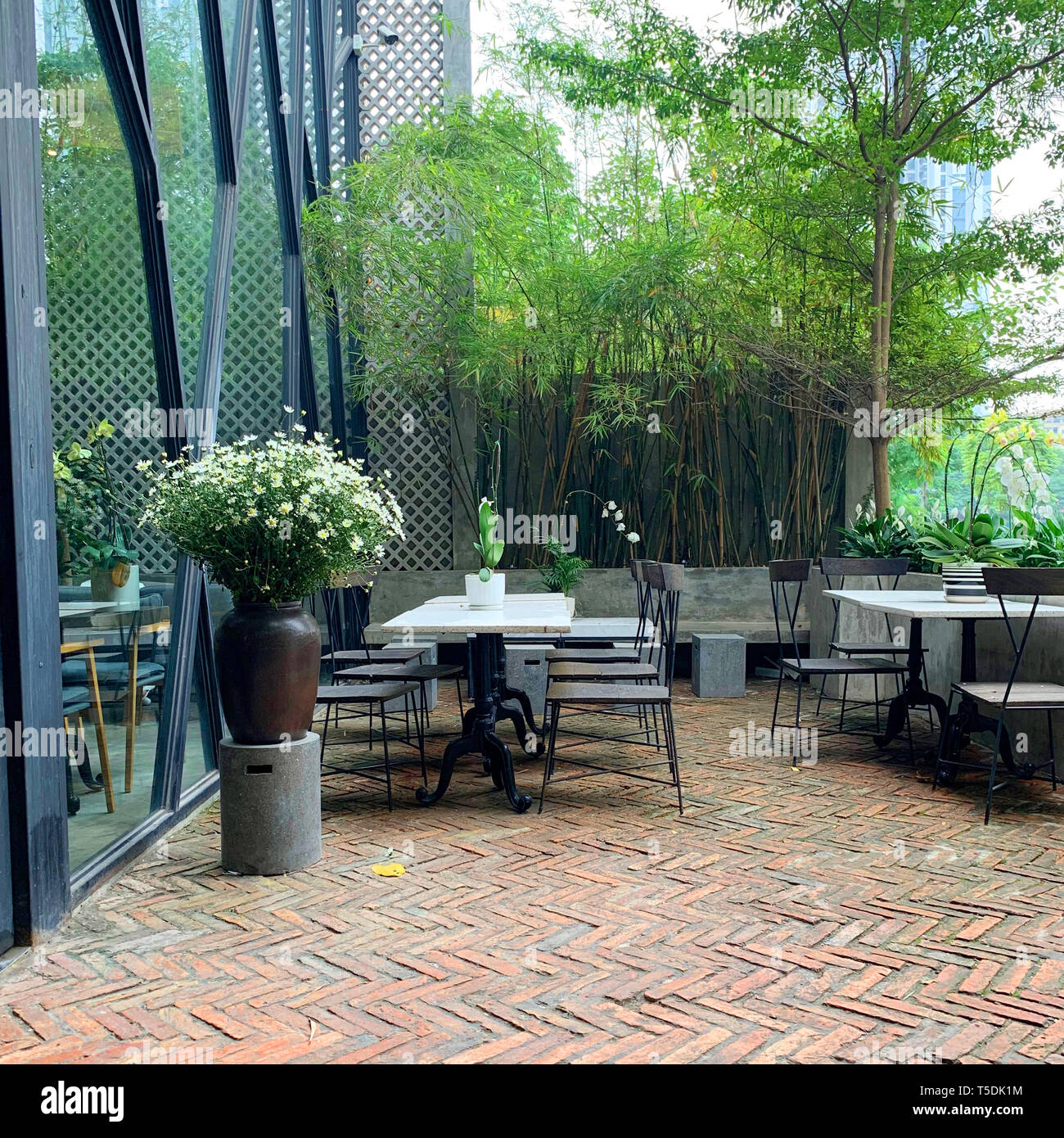 A corner of the cafe with tables, chairs and ornamental plants ...