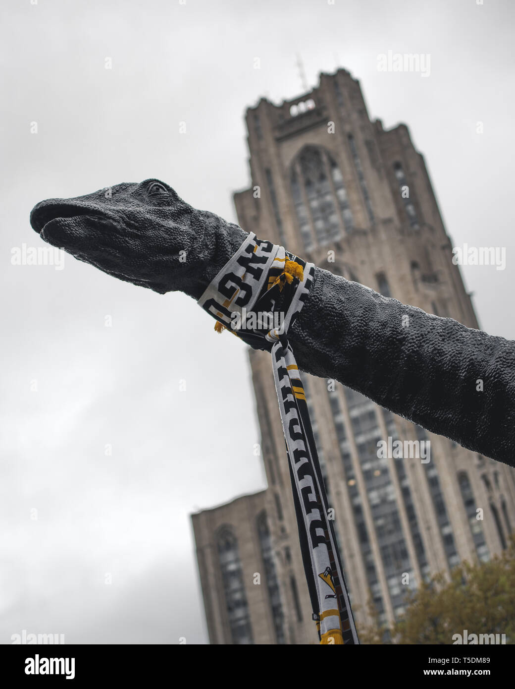 Dippy the Dinosaur Stock Photo - Alamy