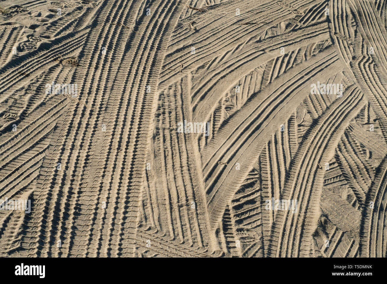 Desert tire tracks, Anza-Borrego State Park, California Stock Photo - Alamy