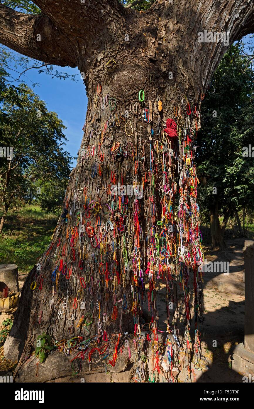 Killing Tree with bracelets in memory of killed children, Killing ...