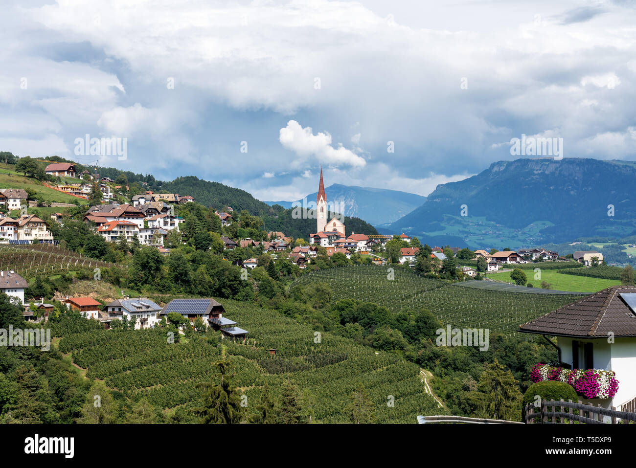 Scenic landscape of mixed pine and deciduous forest with a little ...