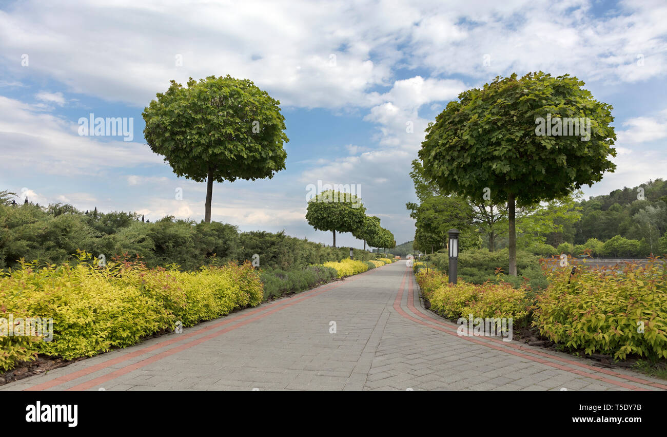A paved stepped path in a beautiful park passes through a green lawn ...