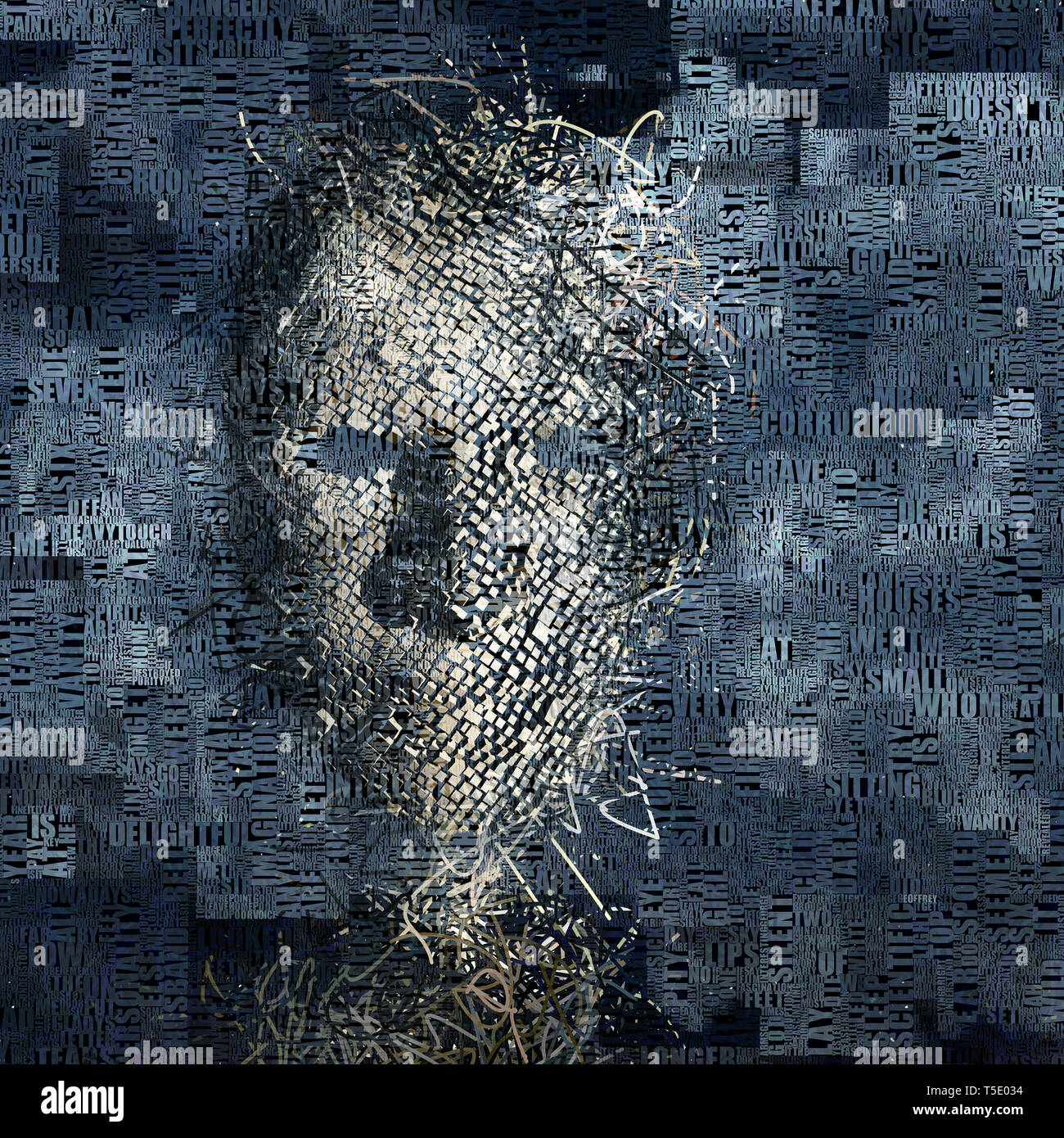 Surrealism. Human face mask made of cubes. Words Stock Photo - Alamy