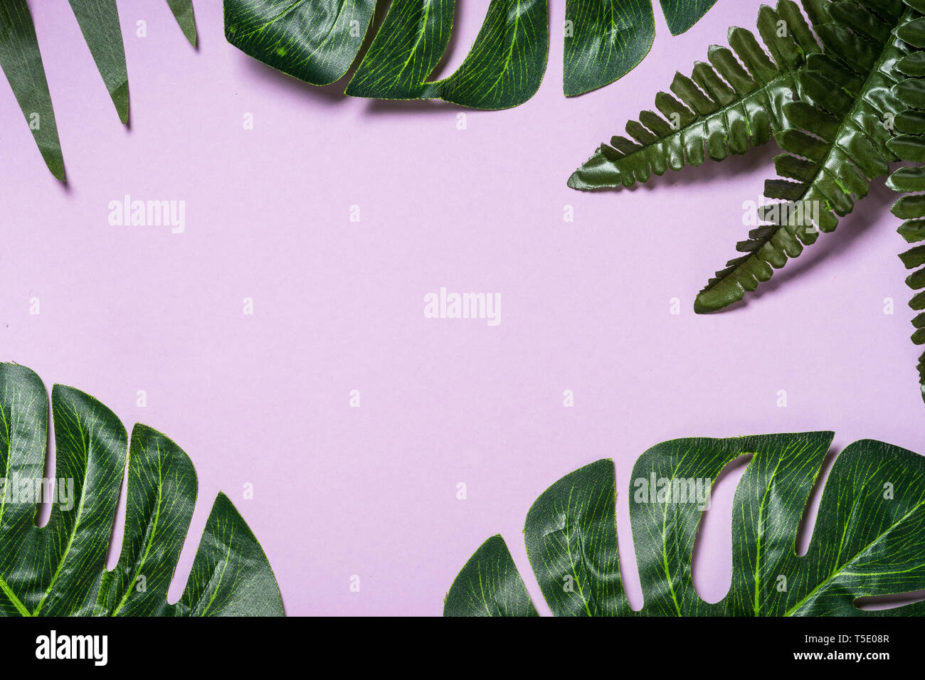 Background violet leaves hi-res stock photography and images - Alamy