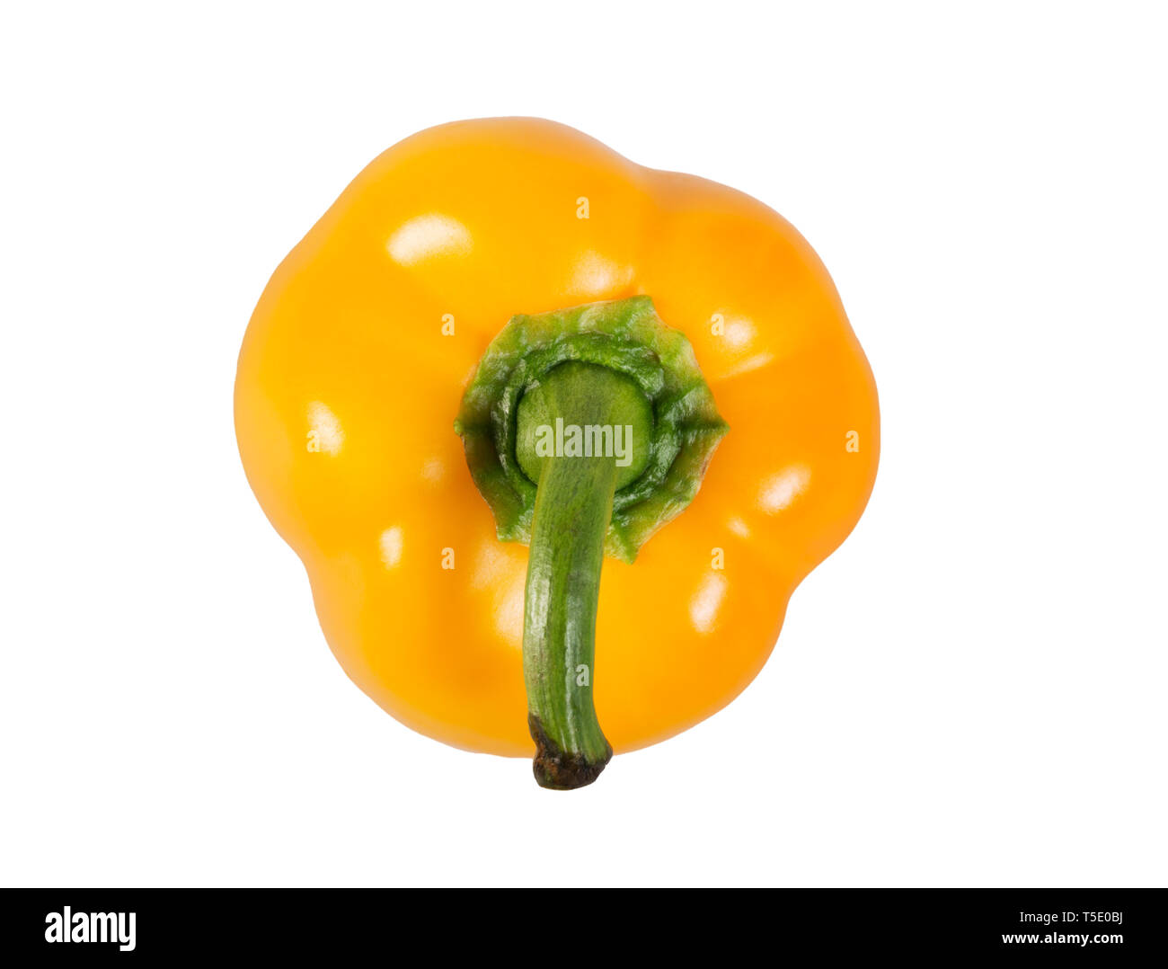 Yellow paprika isolated on white background Stock Photo - Alamy