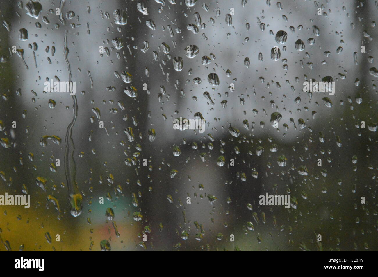 Rain drops on the window with forest background Stock Photo - Alamy