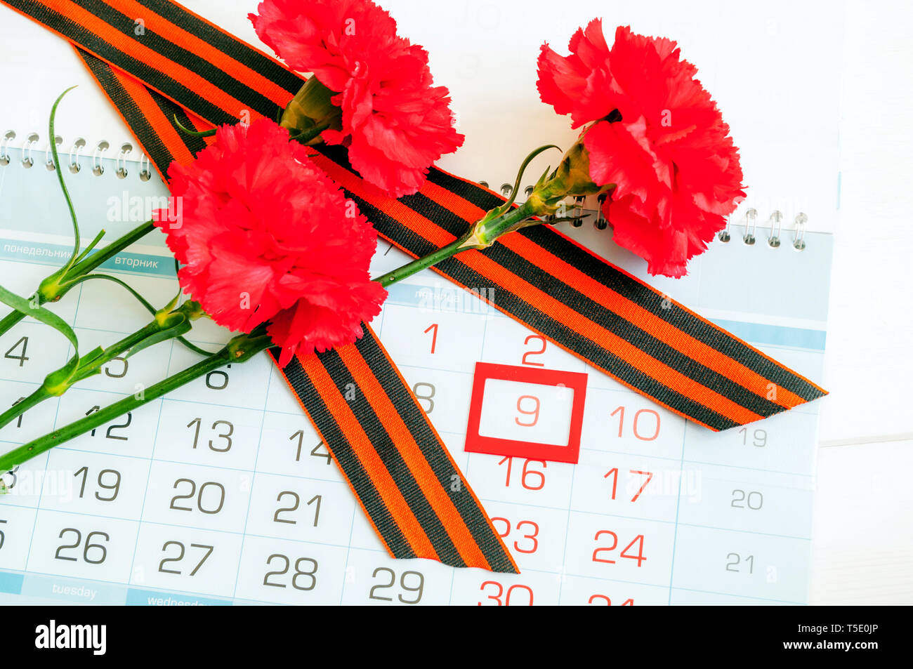 9 May - red carnations and George ribbon lying on the calendar with ...