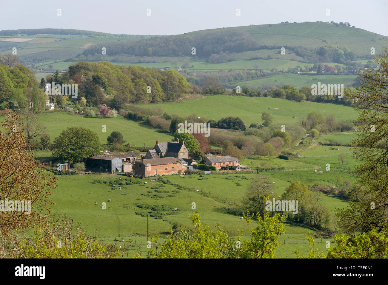 Blackmore vale hi-res stock photography and images - Alamy