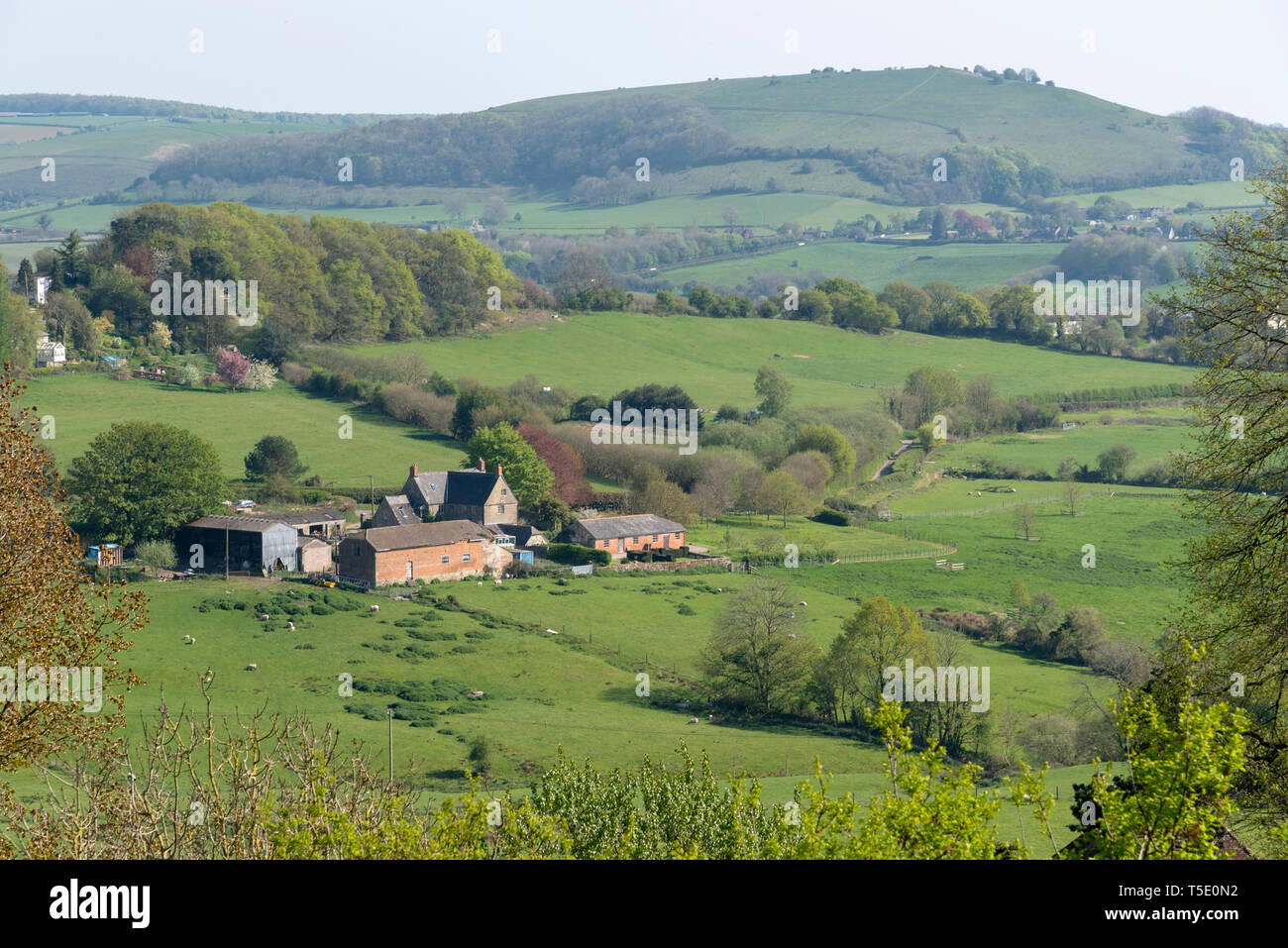 Blackmore vale country countryside dorset hi-res stock photography and ...