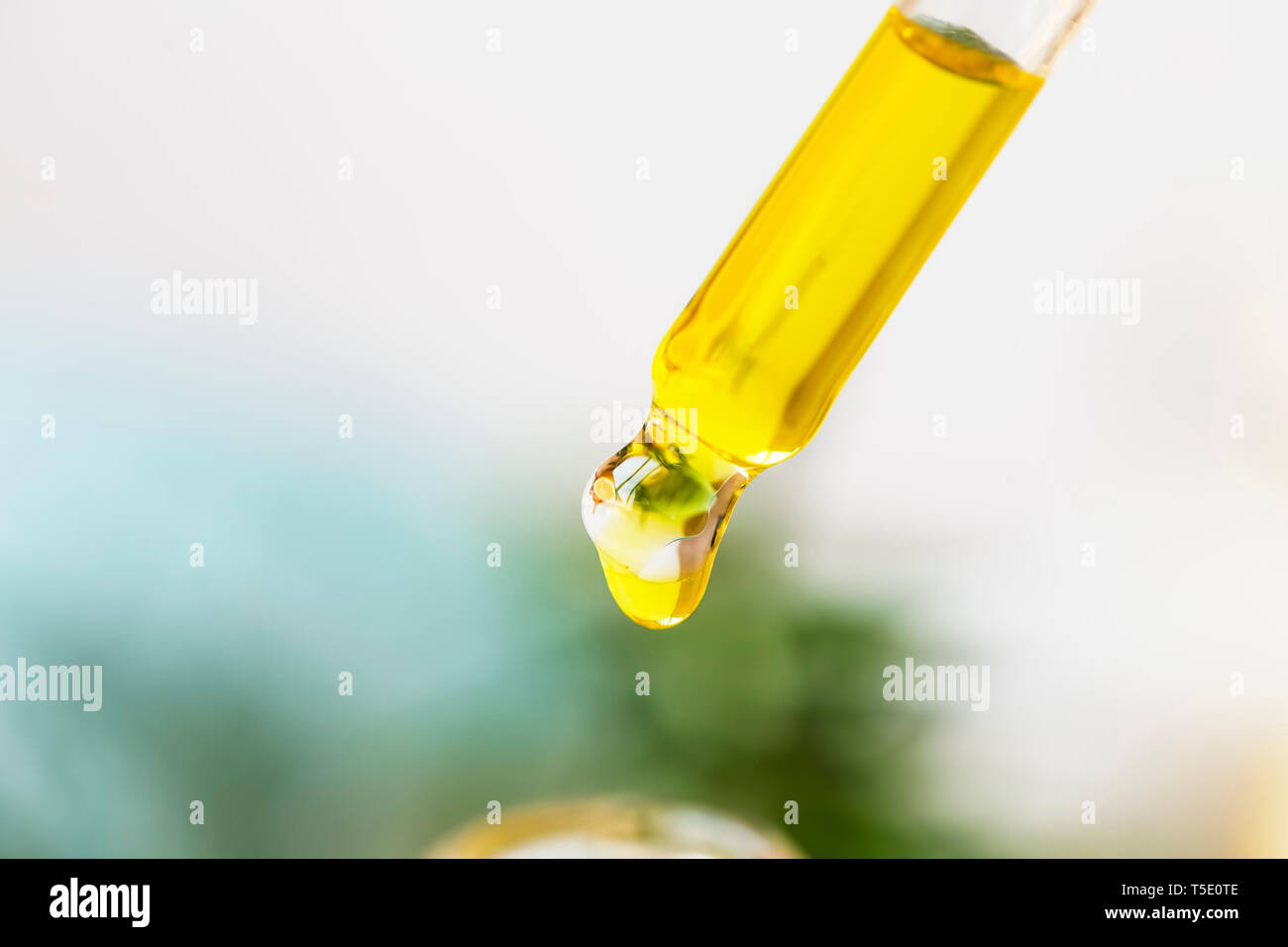 Essential oil dropping from pipette closeup, aromatherapy essential oil ...