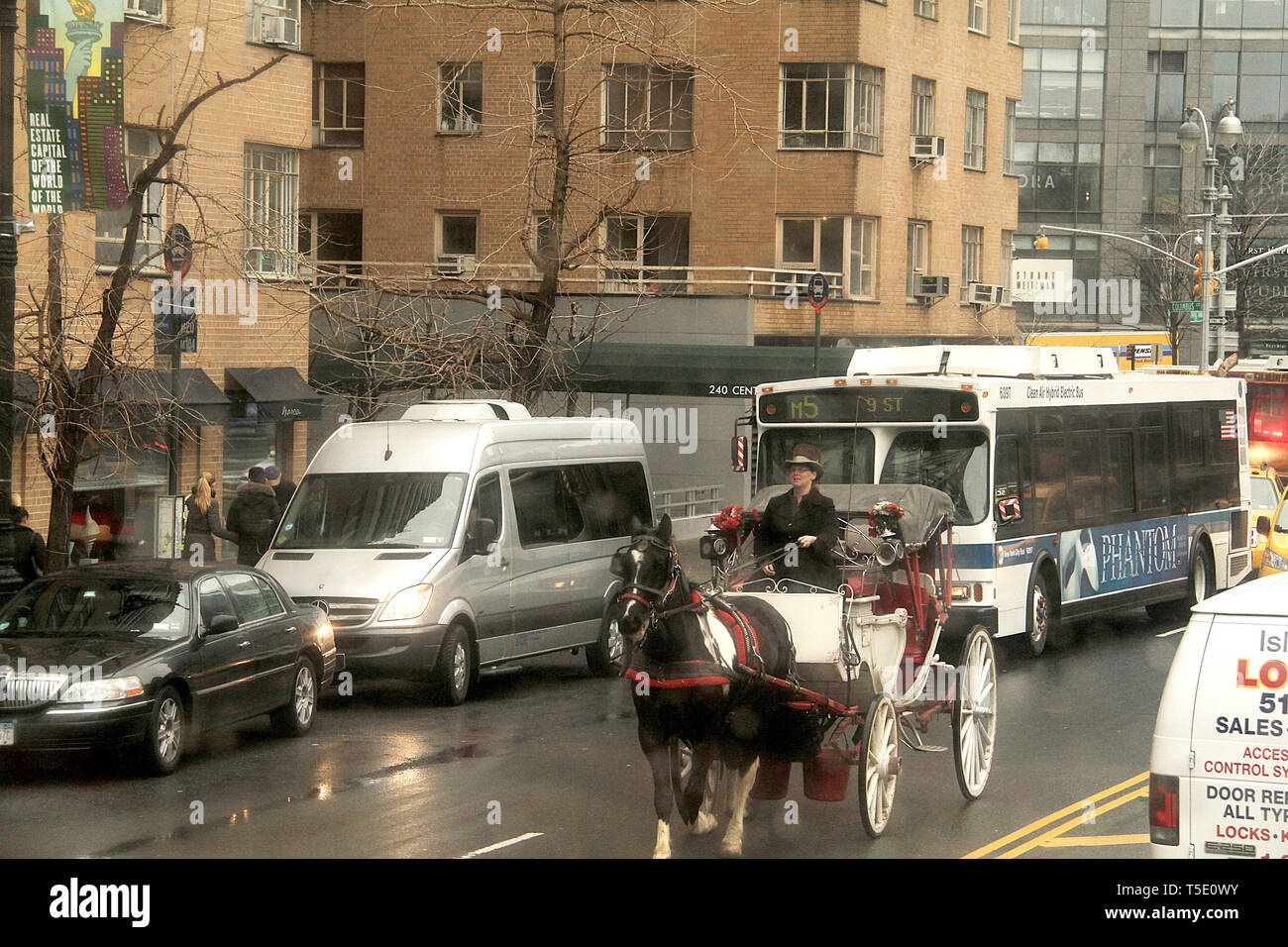 American Coachman High Resolution Stock Photography and Images - Alamy