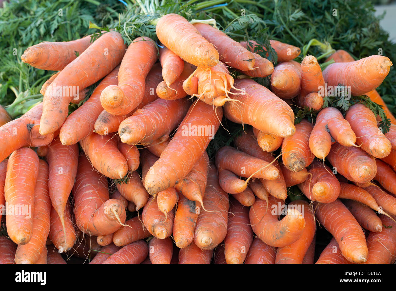 Green grocers hi-res stock photography and images - Alamy