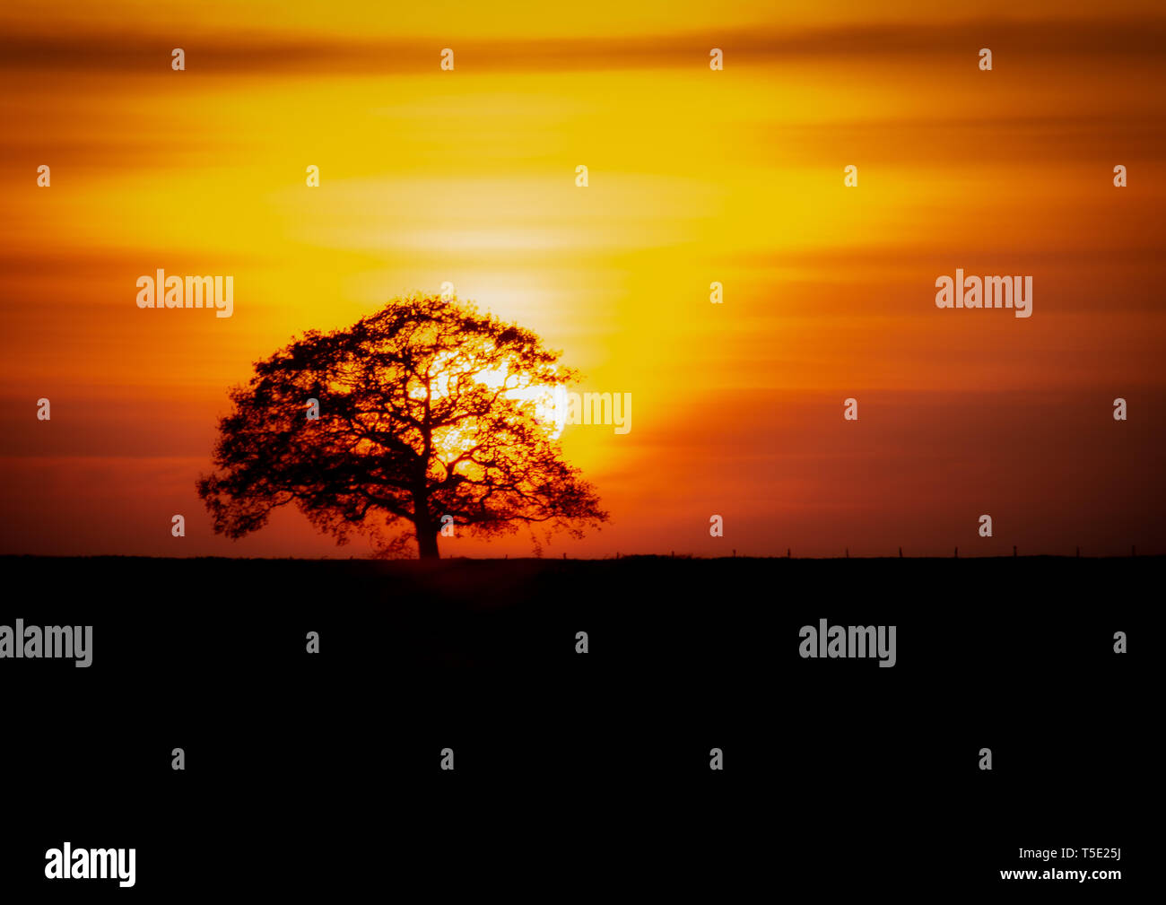 Sahara Style Sunset Stock Photo - Alamy