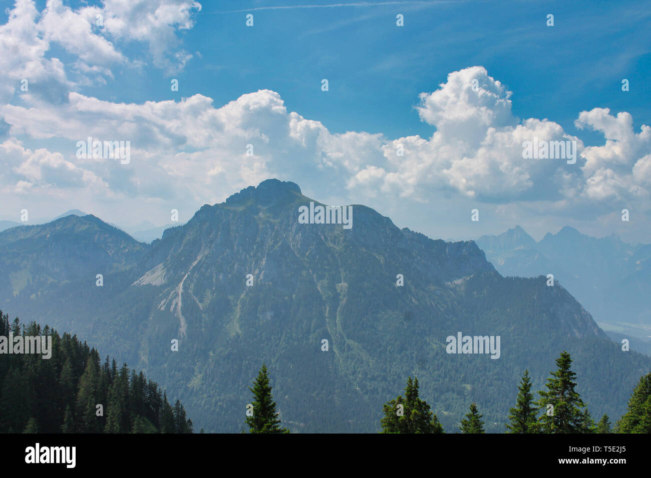 Blue ksy green trees hi-res stock photography and images - Alamy