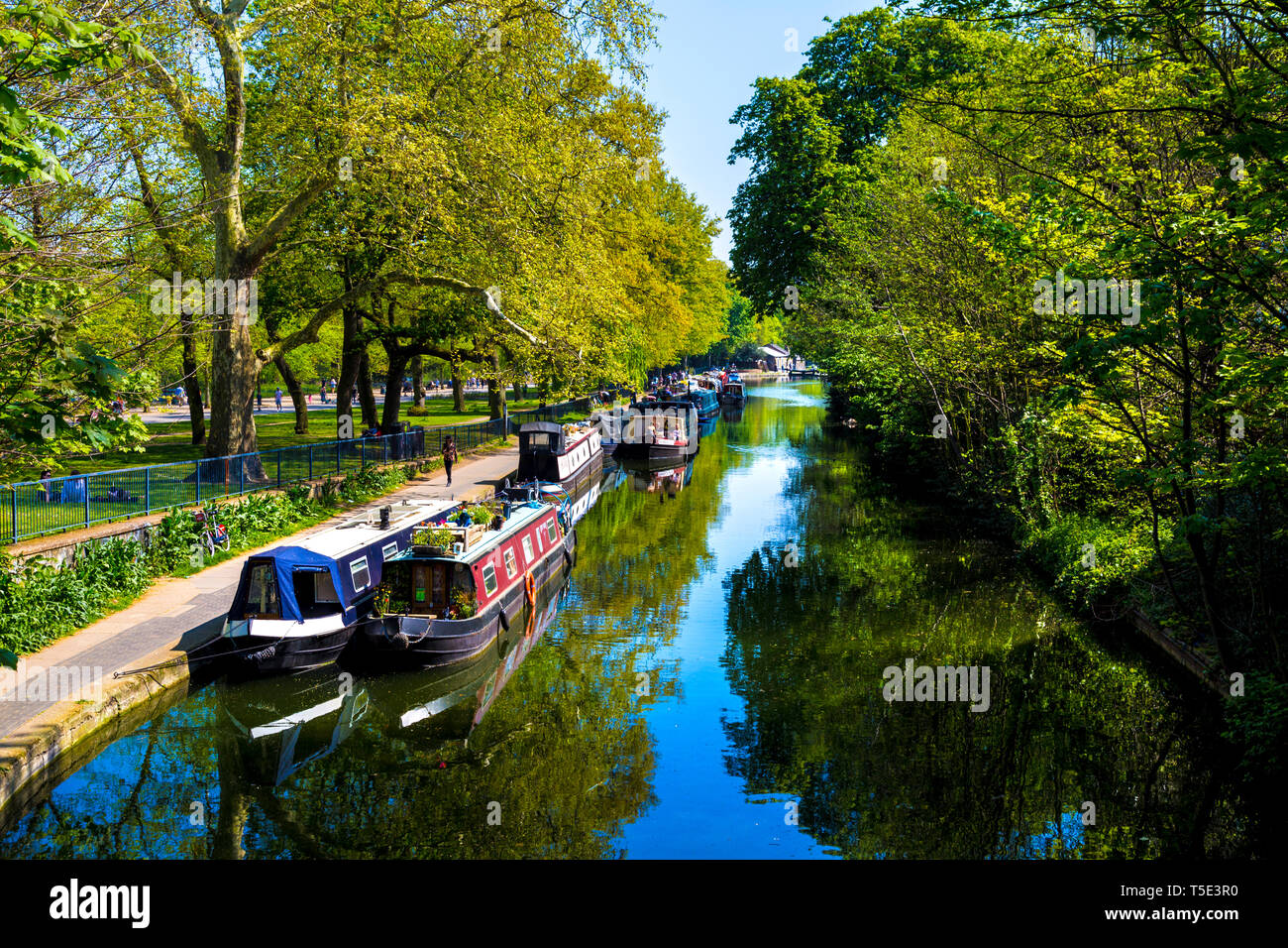 Houseboats mooring on the Regent's Canal by Victoria Park, London, UK ...