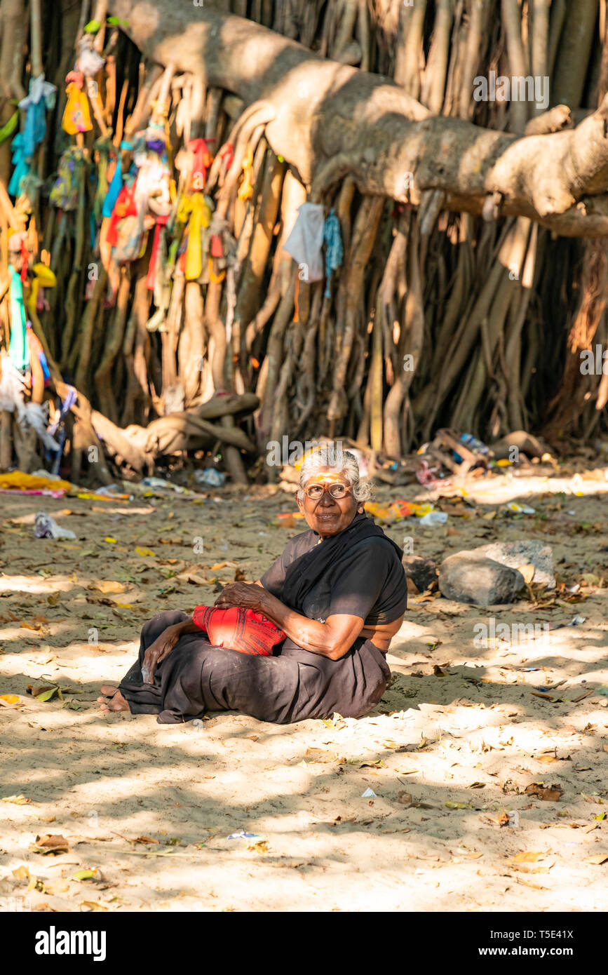 Indian woman praying tree hi-res stock photography and images - Alamy