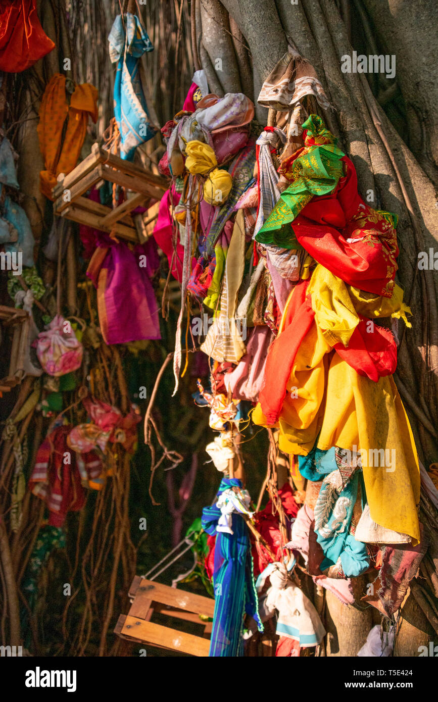 Vertical close up of a wishing tree in Rameswaram, India Stock Photo ...