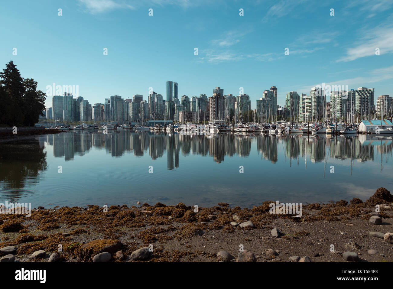 vancouver, waterfront, yacht, city, skyline, reflection, buildings ...