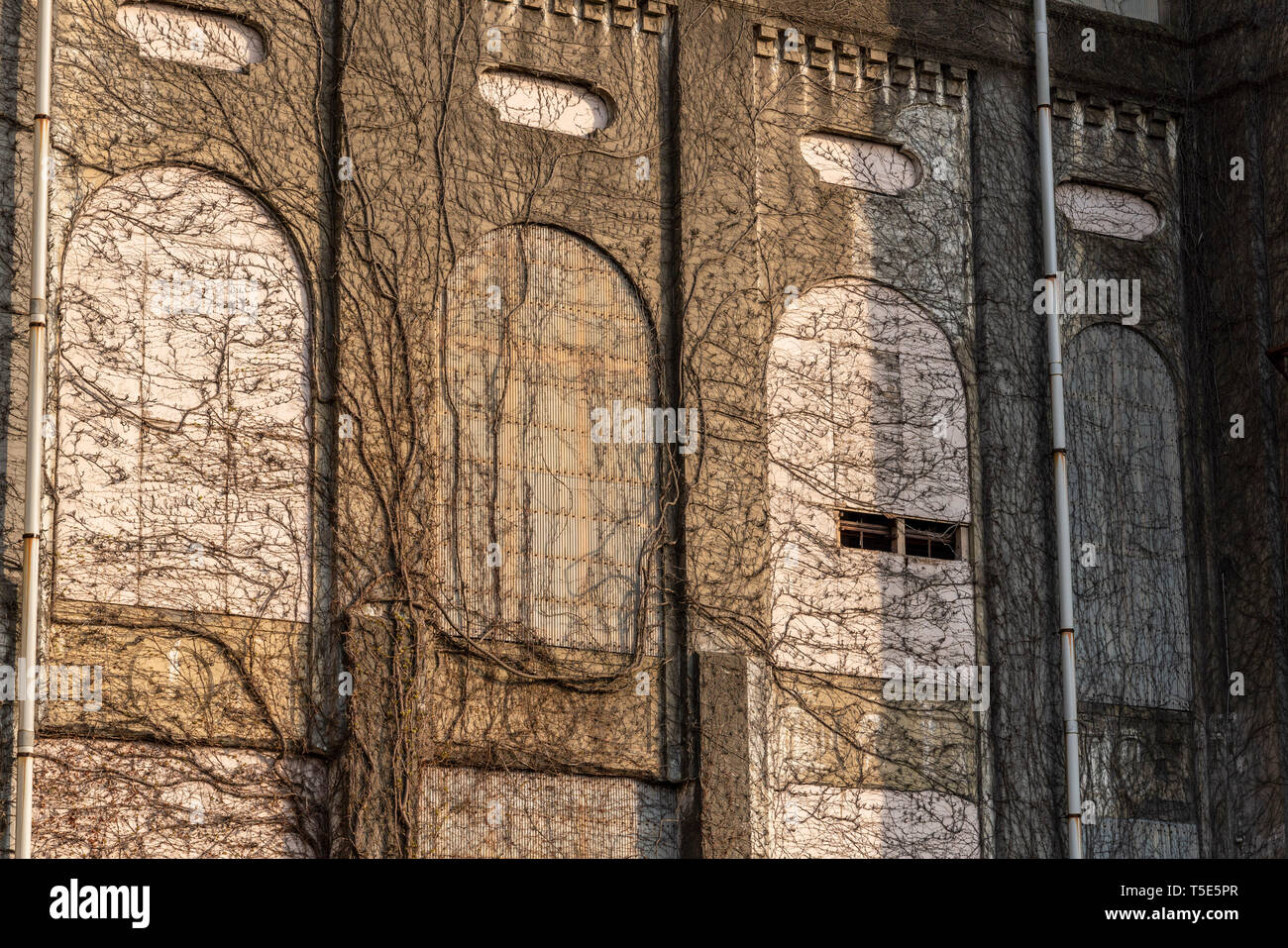 Negishi shinrin park hi-res stock photography and images - Alamy
