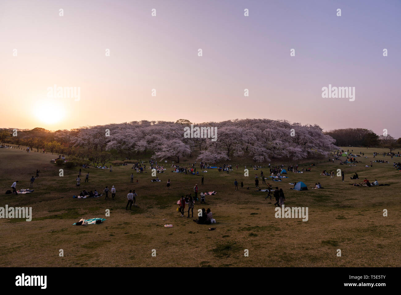 Yokohama negishi forest park hi-res stock photography and images - Alamy