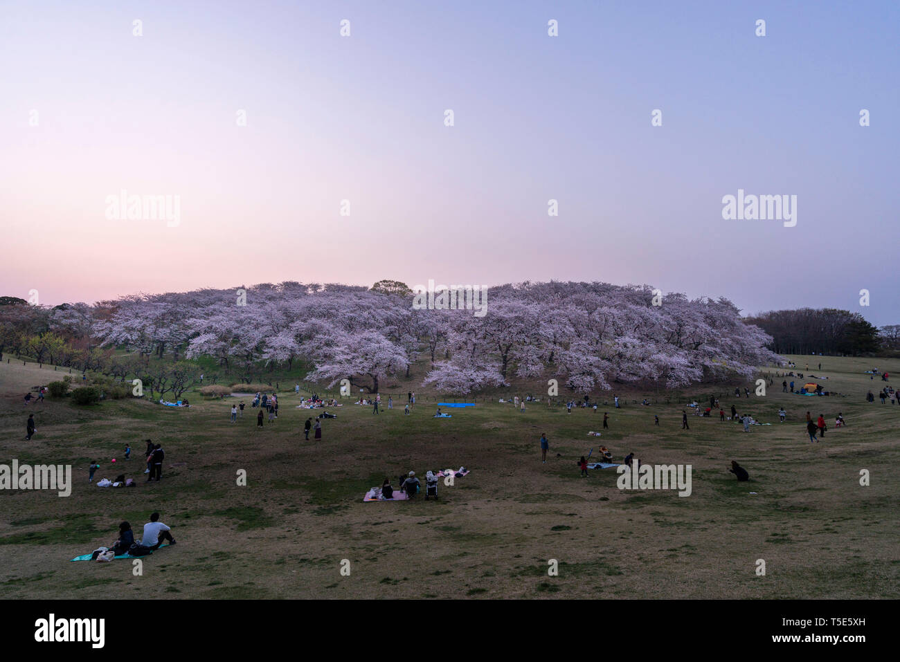 Negishi yokohama hi-res stock photography and images - Alamy