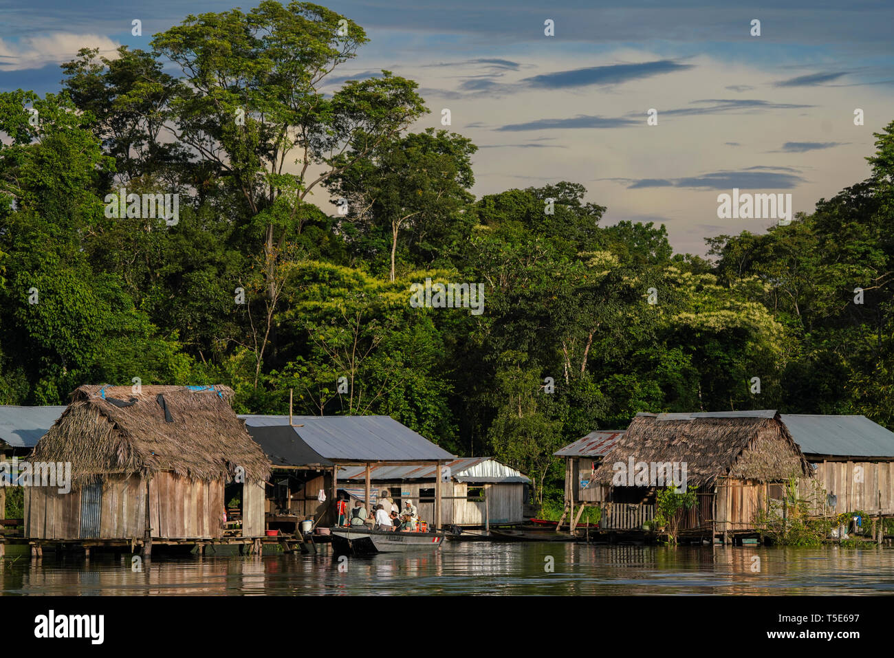 Traditional Amazonian houses built on stilts, during the rainy season ...