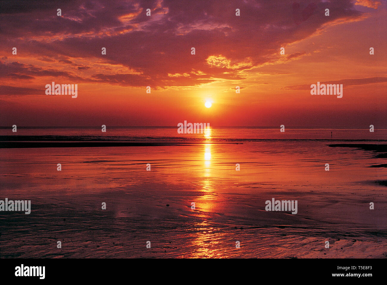 Tithal beach hi-res stock photography and images - Alamy