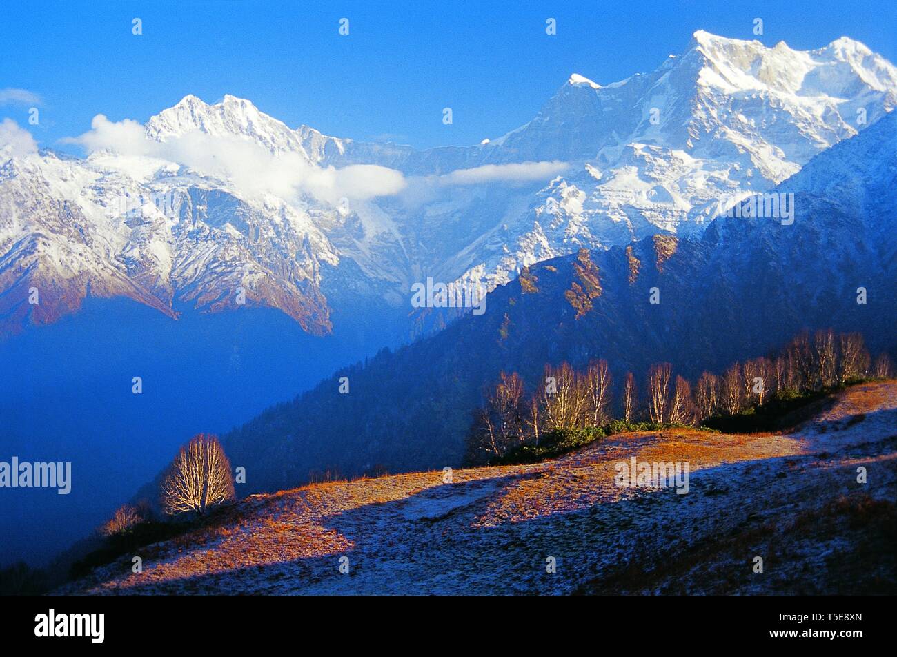 Chaukhamba Mountain as seen from Buddha Madmaheshwar, Uttarakhand ...
