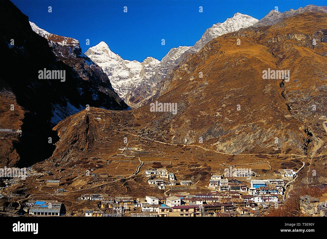 Neelkanth Mahadev Peak