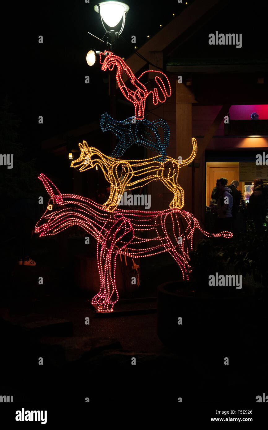 Portland, Oregon - 2018-11-21 - Light based animals stacked Oregon Zoo ...