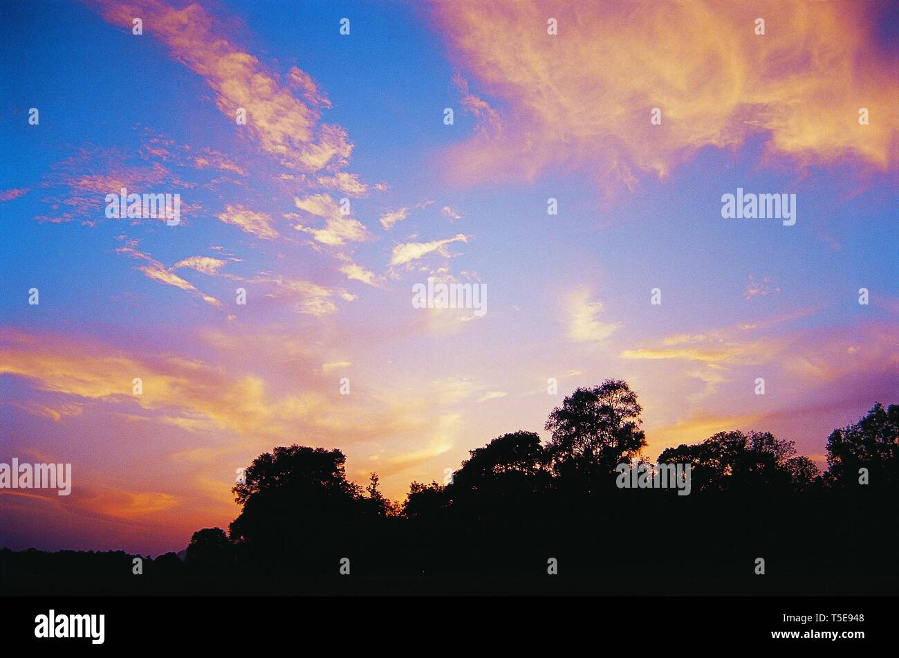 Fire crackers india hi-res stock photography and images - Alamy