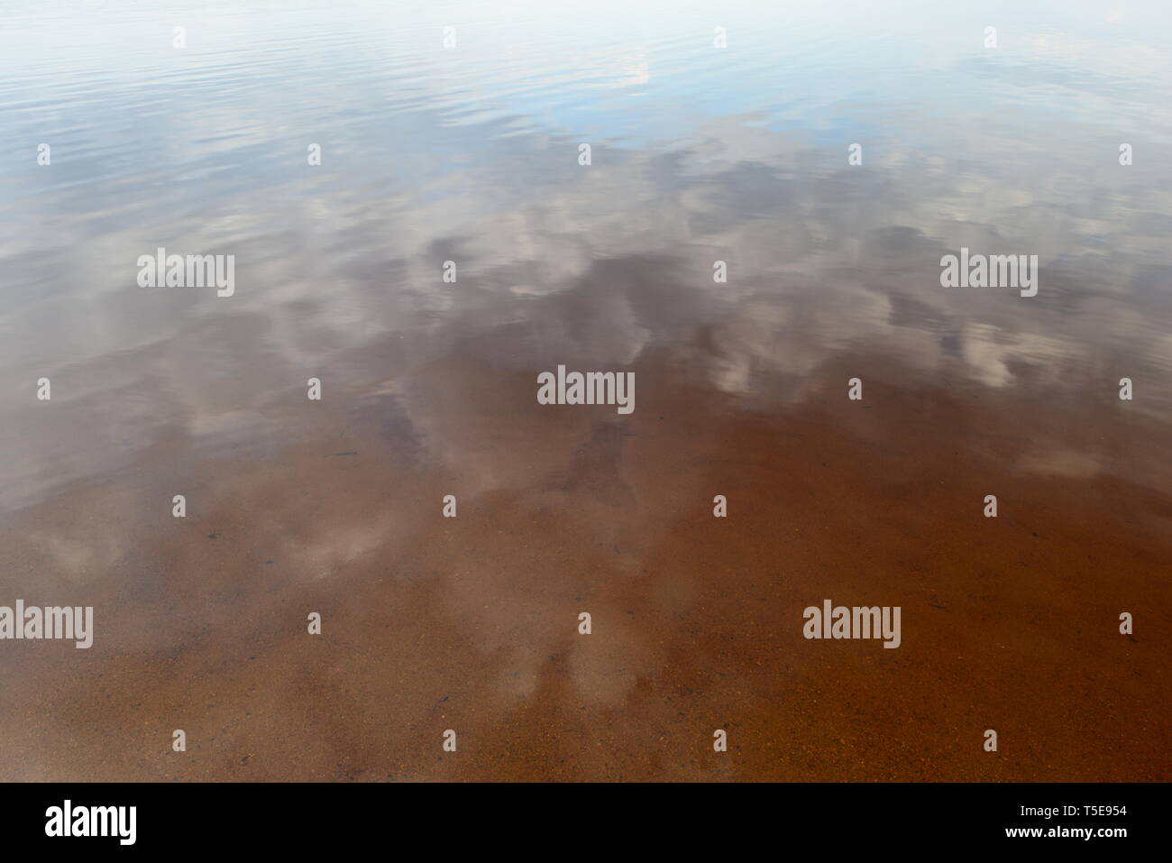 Beach sandbank lake reflection in the water sky and clouds in the early ...