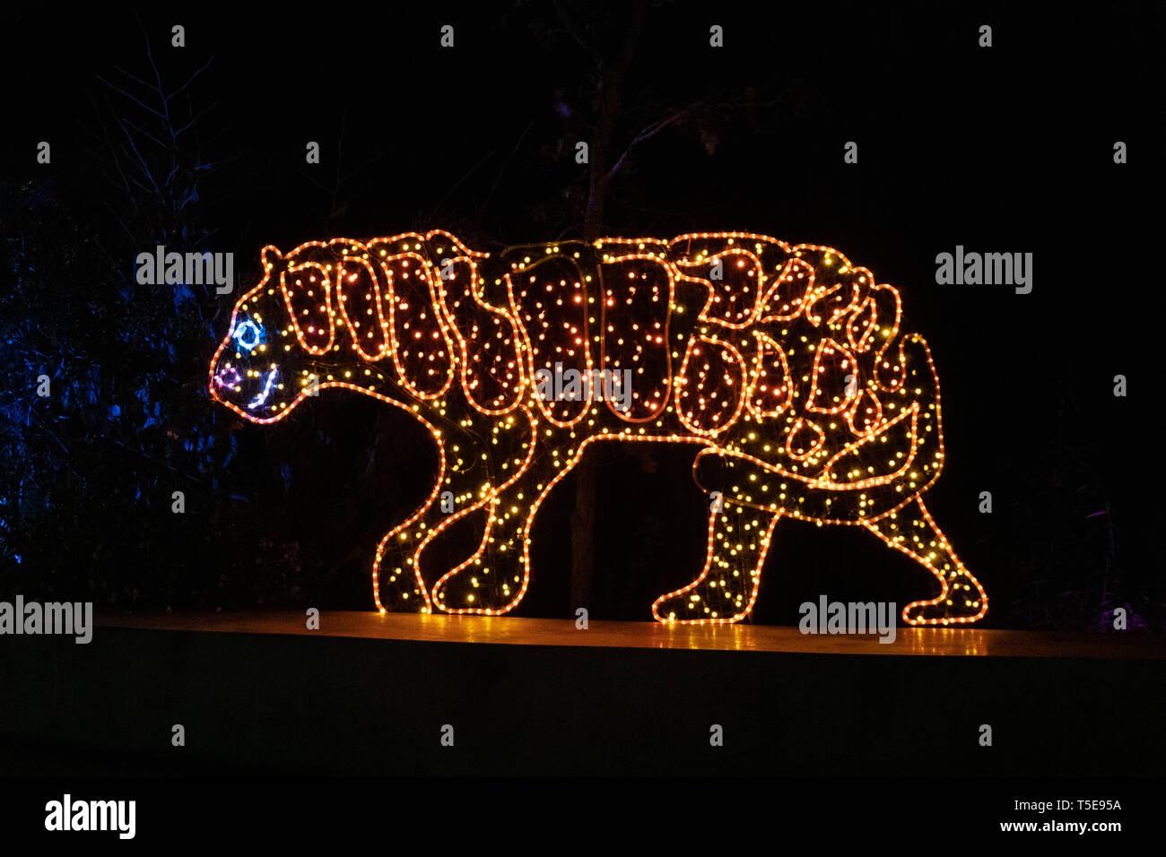 Neon light tiger hi-res stock photography and images - Alamy