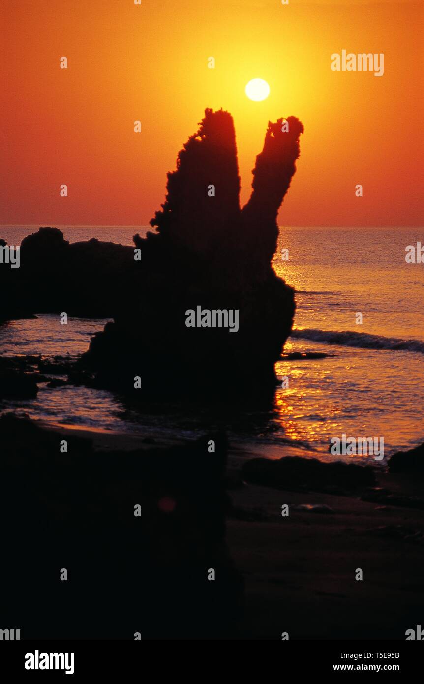 Scissor like Sea Stack on Seashore, Saurashtra, Gujarat, India, Asia ...